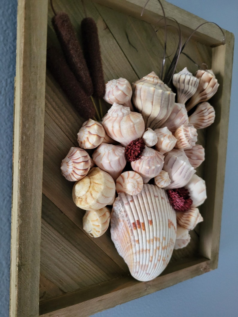 Seashell Wall Art, Coastal, Nautical, Beach Decor, Seashell Flowers ...