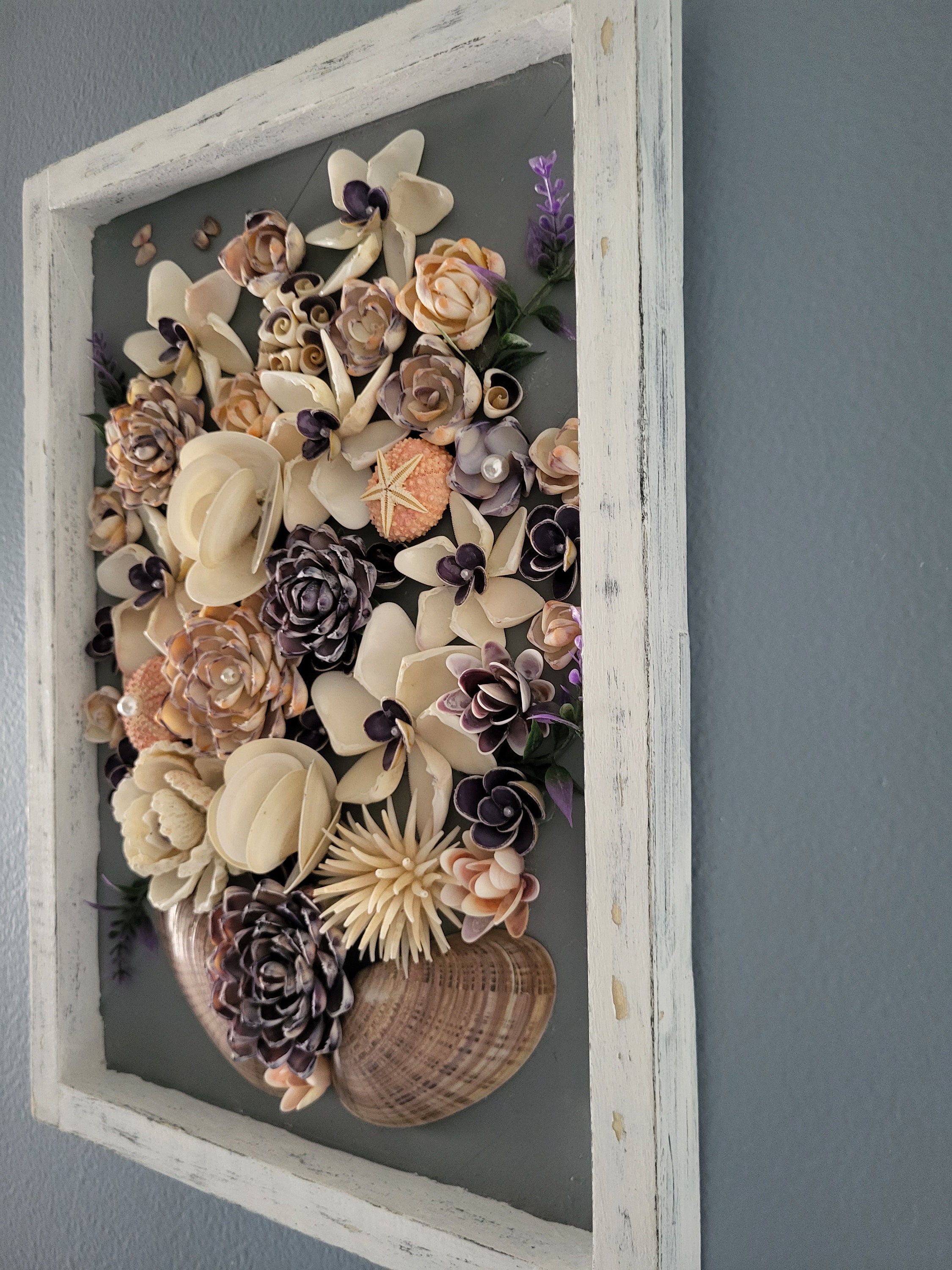 Seashell Wall Art Coastal Nautical Beach Decor Seashell - Etsy