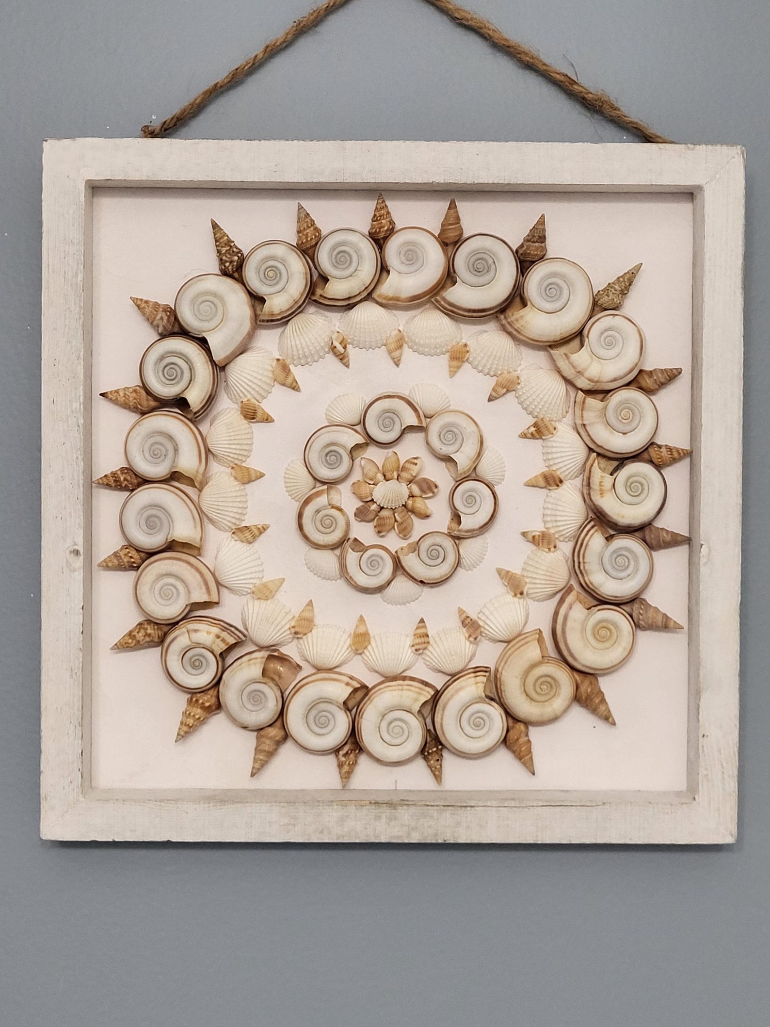 Seashell Flower Wall Art, Coastal Nautical Decor, 12" Framed Shell Art ...