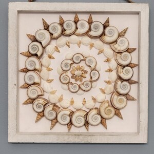Seashell Flower Wall Art, Coastal Nautical Decor, 12" Framed Shell Art ...