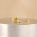 Titanium Two Stone Threadless Push Pin Labret, Cz Flat Back Earring ...