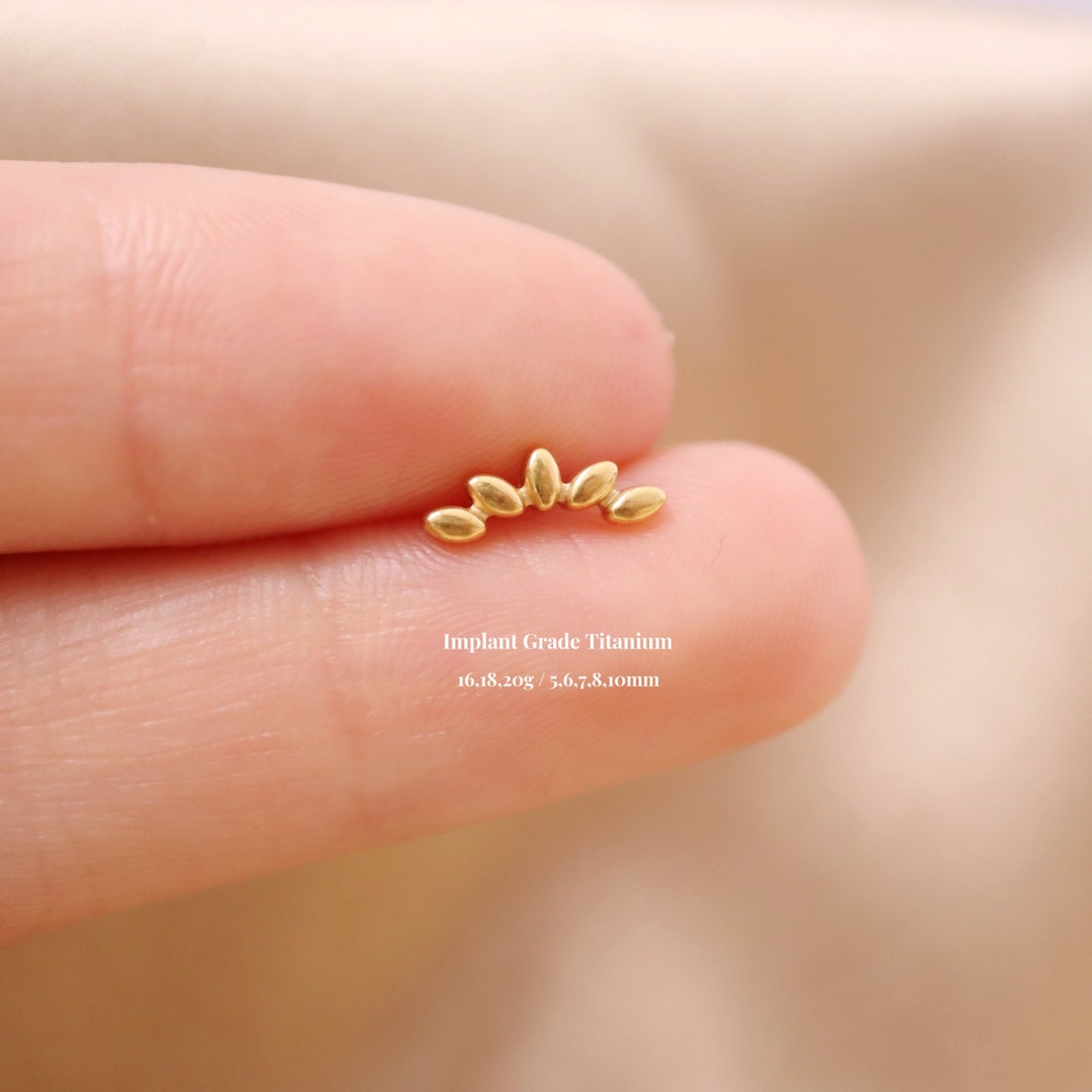 Titanium Climber Threadless Push Pin Labret, Flat Back Earring ...