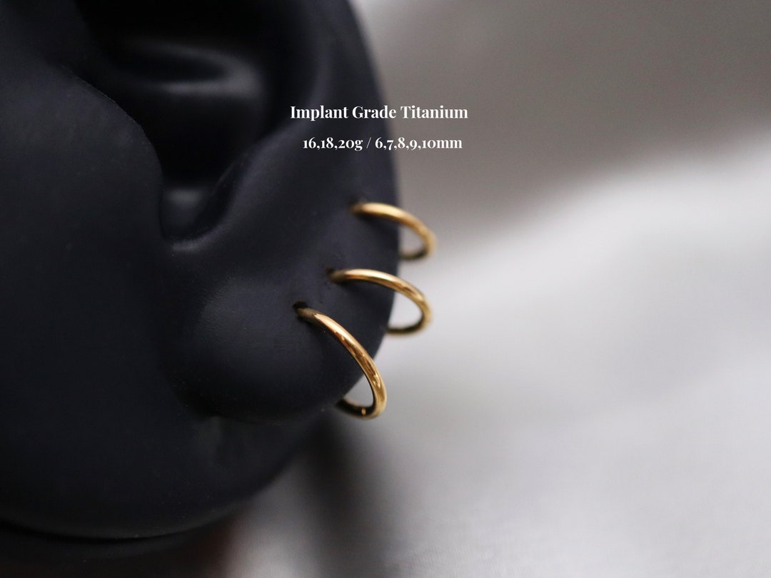 Titanium Septum Clicker Ring, Hinge Hoop Segment Ring, 20G 18G 16G ...