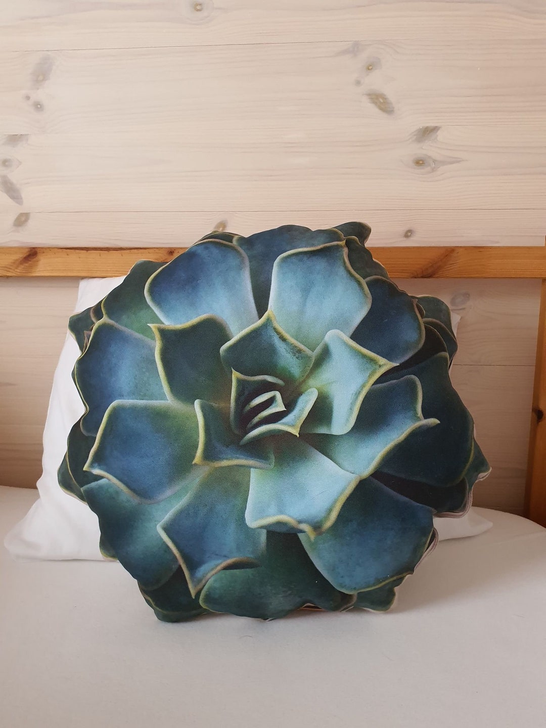 Aloe Succulent Plant Pillow / Echeveria Plant Pillow / Succulent Pillow ...