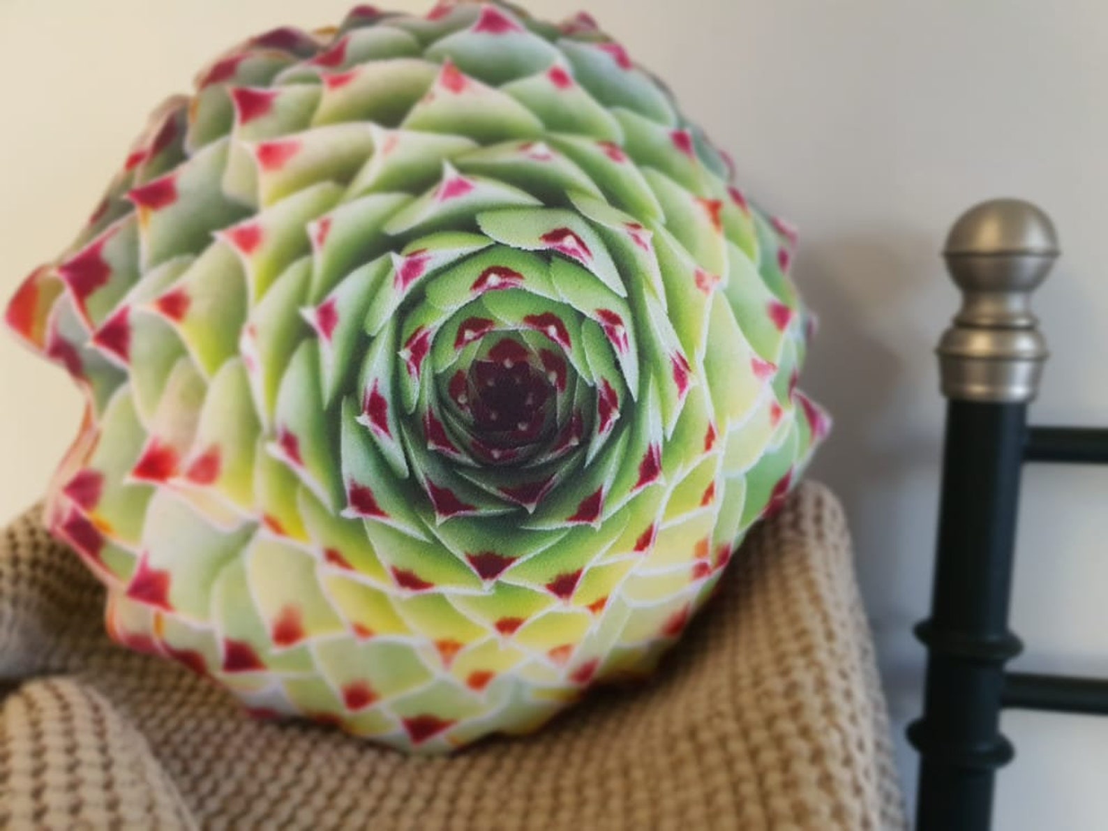 Set of 2 Succulent Cushions/ 2 Pillows Cactus/flowers Pillows | Etsy