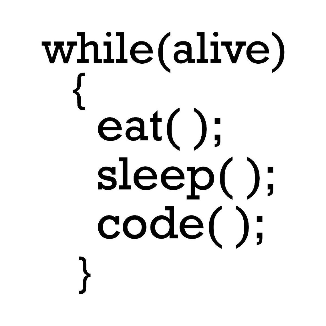 While Alive Eat Sleep Code Funny Programmer Quote Clever Etsy