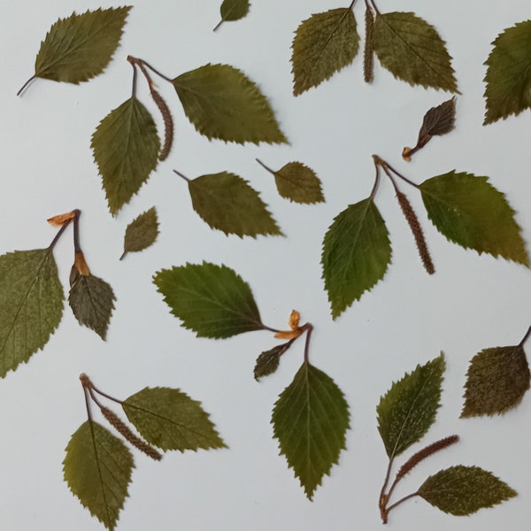 Pressed Leaves - Etsy