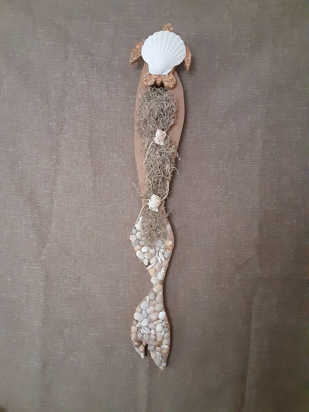 Mermaid With Shell Back Turtle and Sea Shell Covered Tail - Etsy