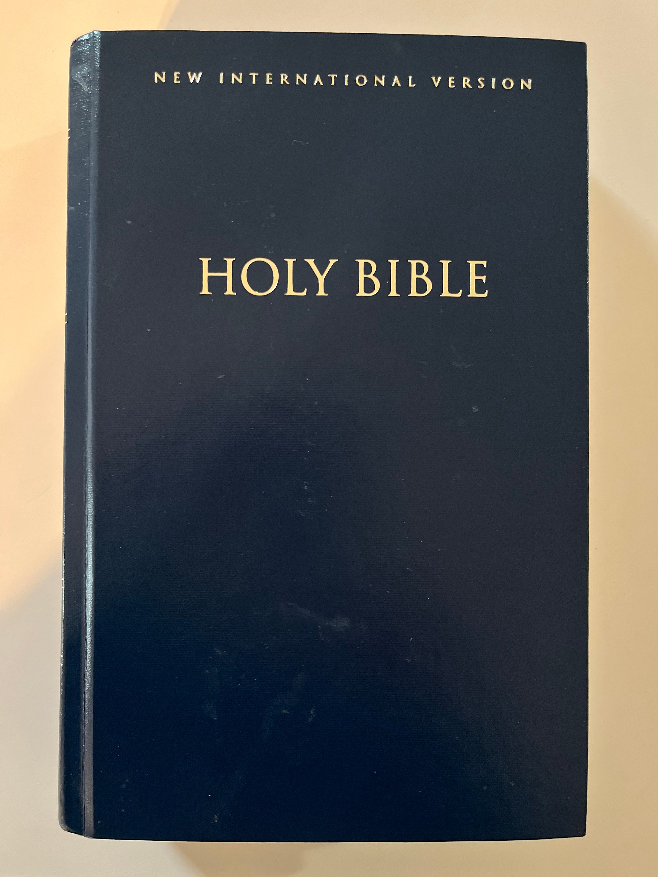 Holy Bible, New International Version, Containing Old and New Testament ...