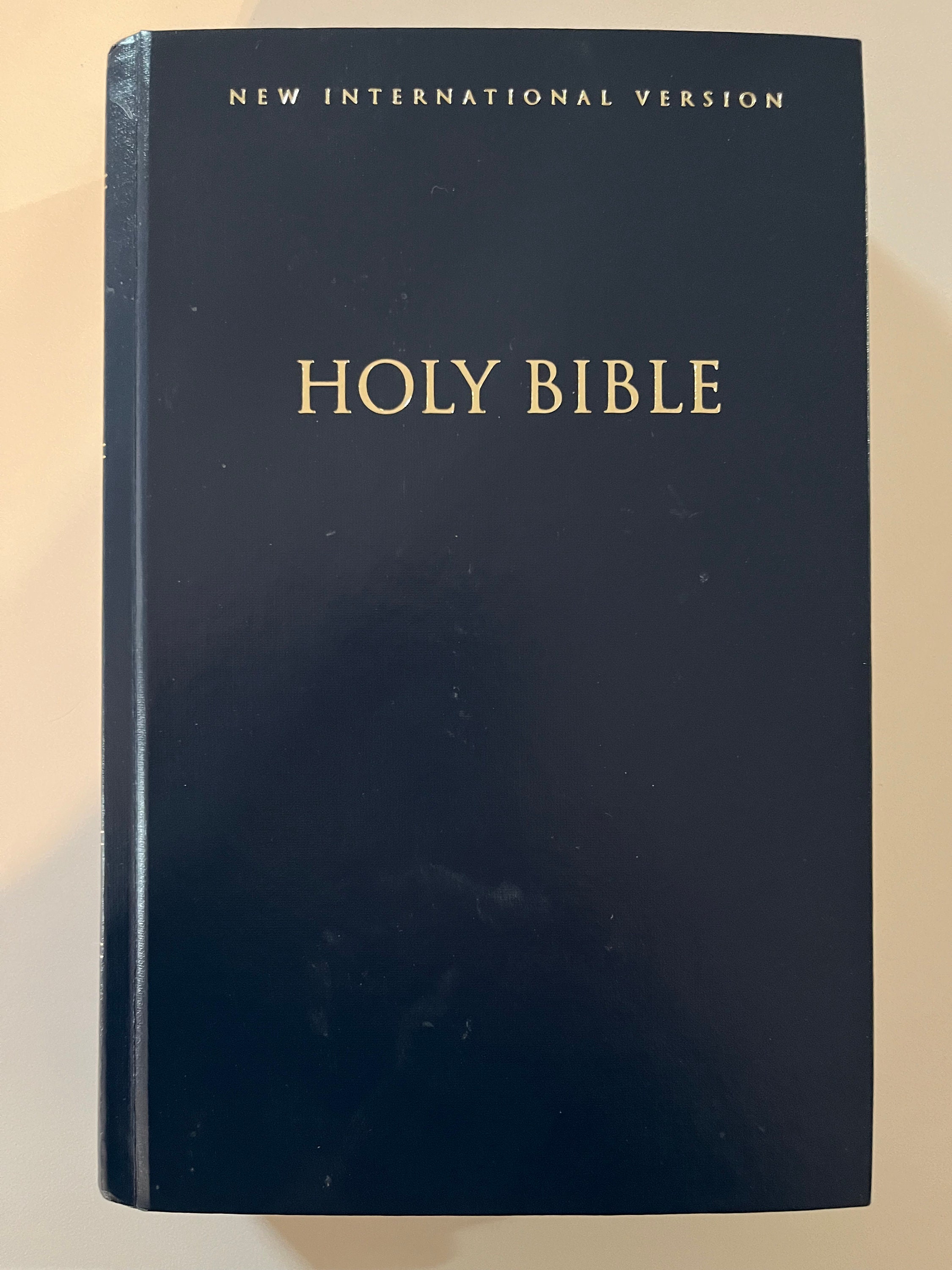 Holy Bible, New International Version, Containing Old and New Testament ...