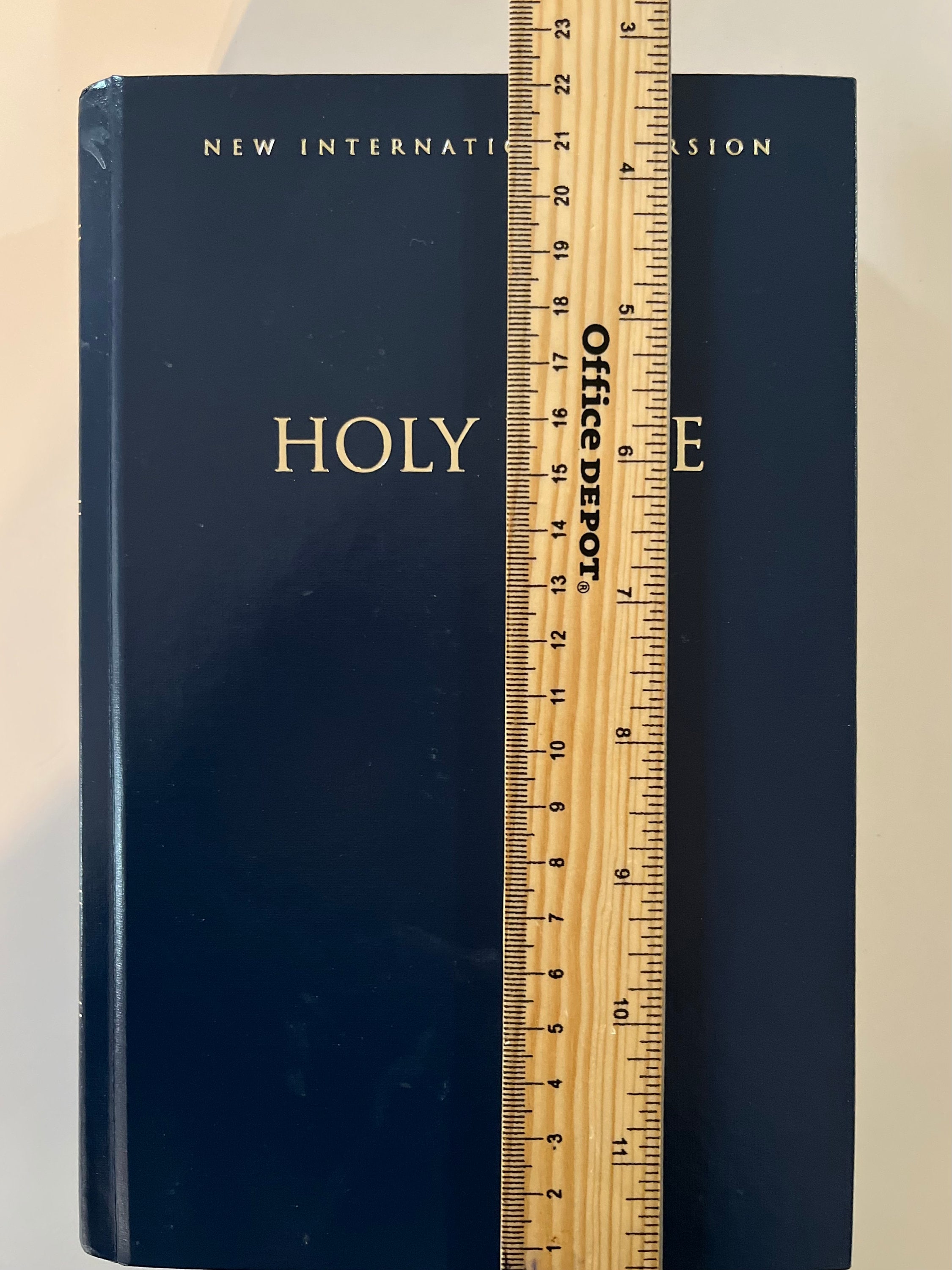 Holy Bible, New International Version, Containing Old and New Testament ...