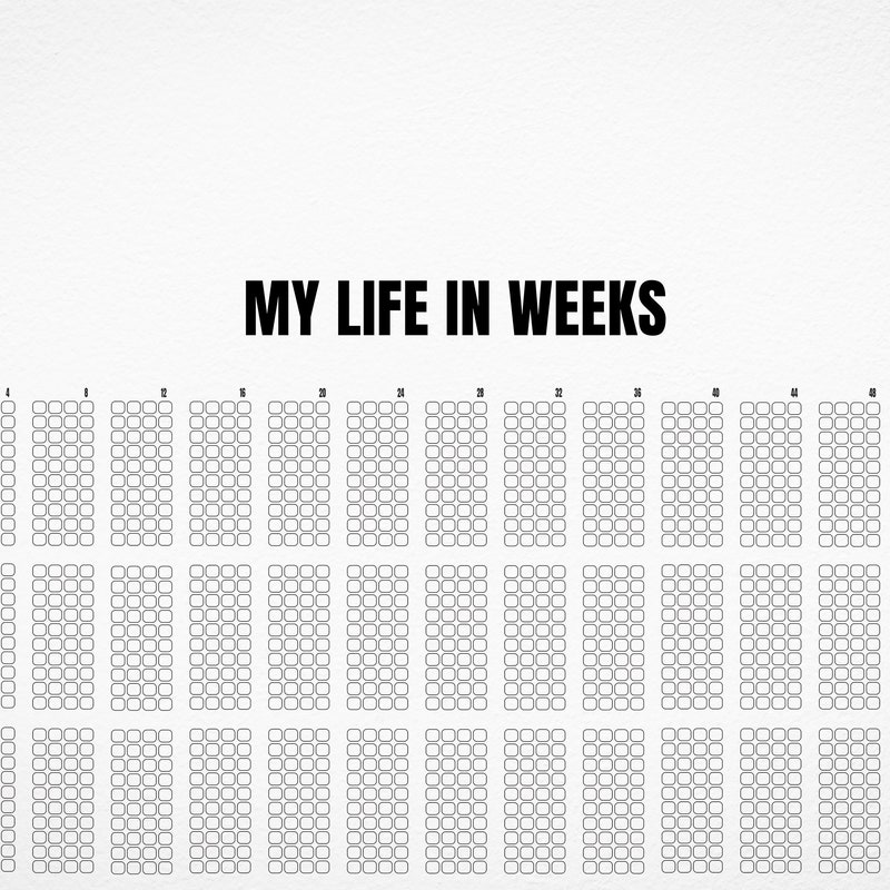 Life in Weeks Poster - Etsy