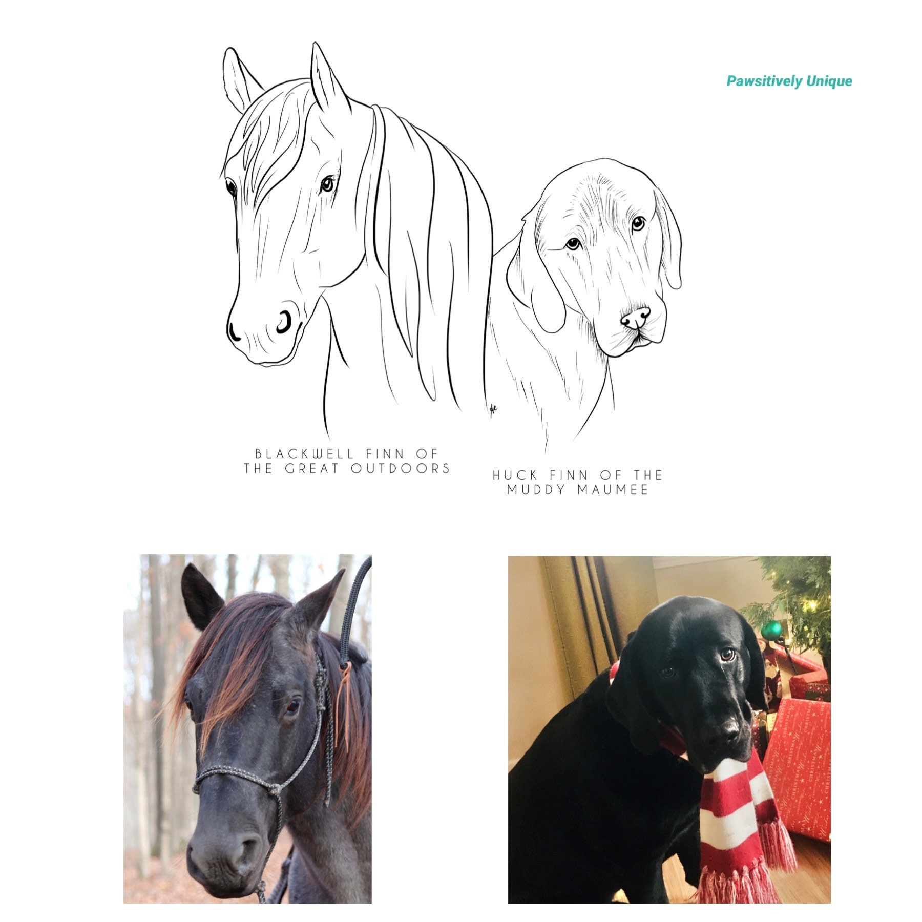 Custom Pet Portrait Digital Line Drawing of Your Own Pet | Etsy