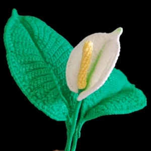 Easy Crochet Peace Lily Flower Pattern PDF | DIY Crochet Floral Decor ...