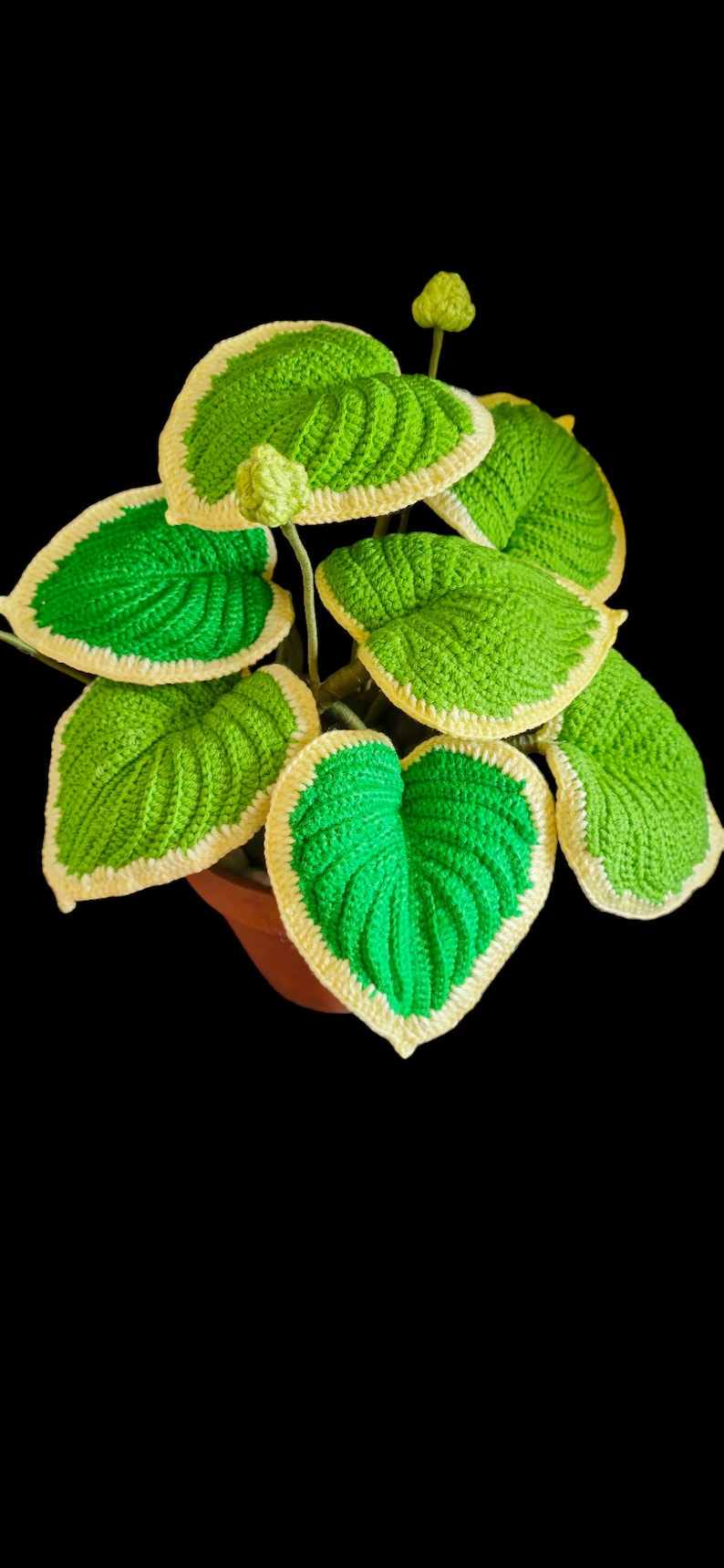 Easy Crochet Your Own Realistic Hosta Plant! Easy PDF Pattern With ...