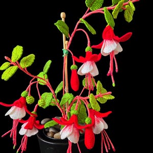 Easy Crochet Fuchsia Flower Pattern PDF | DIY Hanging Floral Decor ...