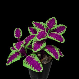 Easy Crochet Coleus Plant Pattern PDF | DIY Crochet Leaf Decor With ...