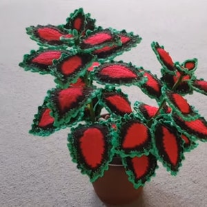 Easy Crochet Coleus Plant Pattern PDF | DIY Crochet Leaf Decor With ...