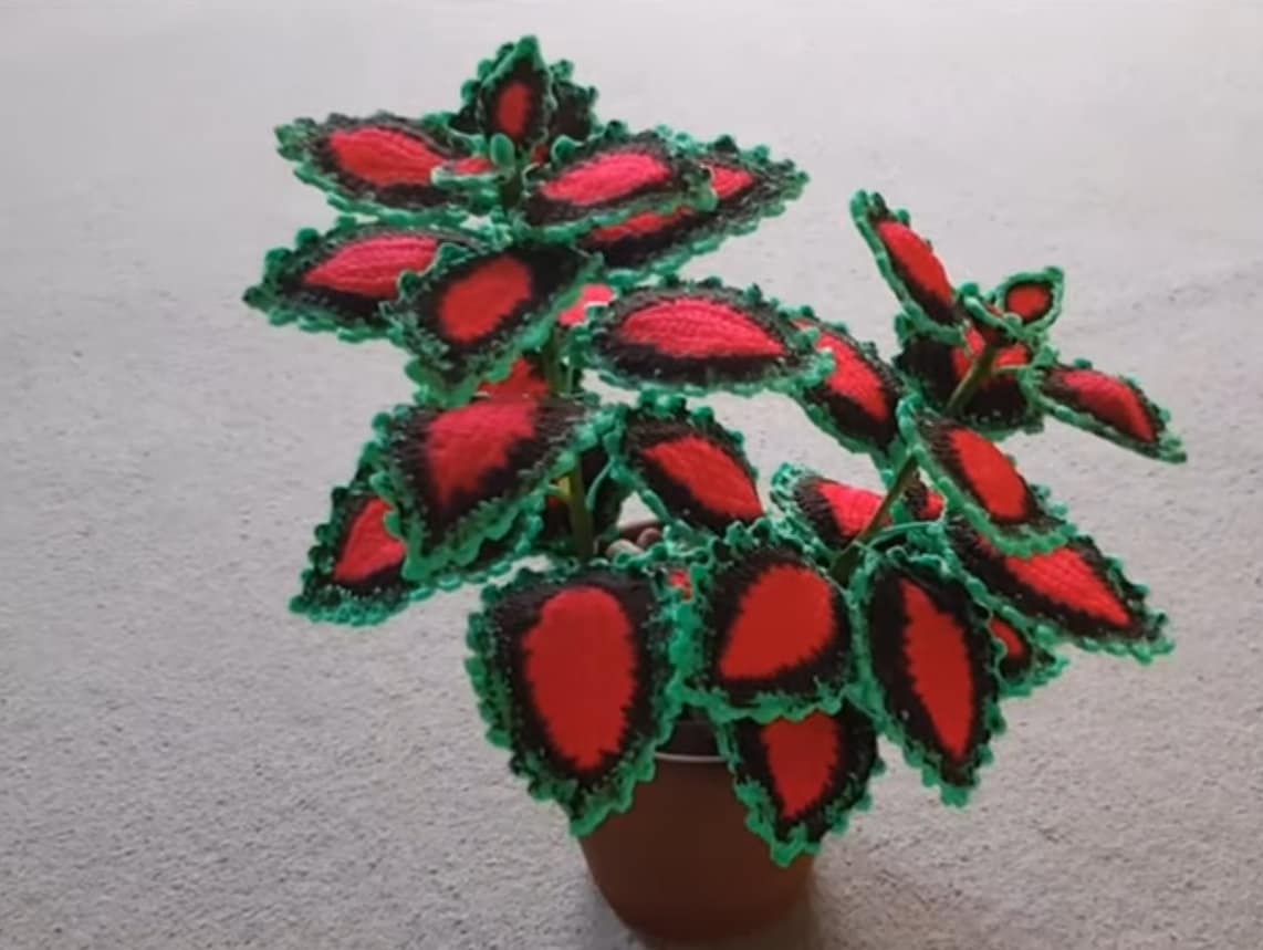 Easy Crochet Coleus Plant Pattern PDF | DIY Crochet Leaf Decor With ...