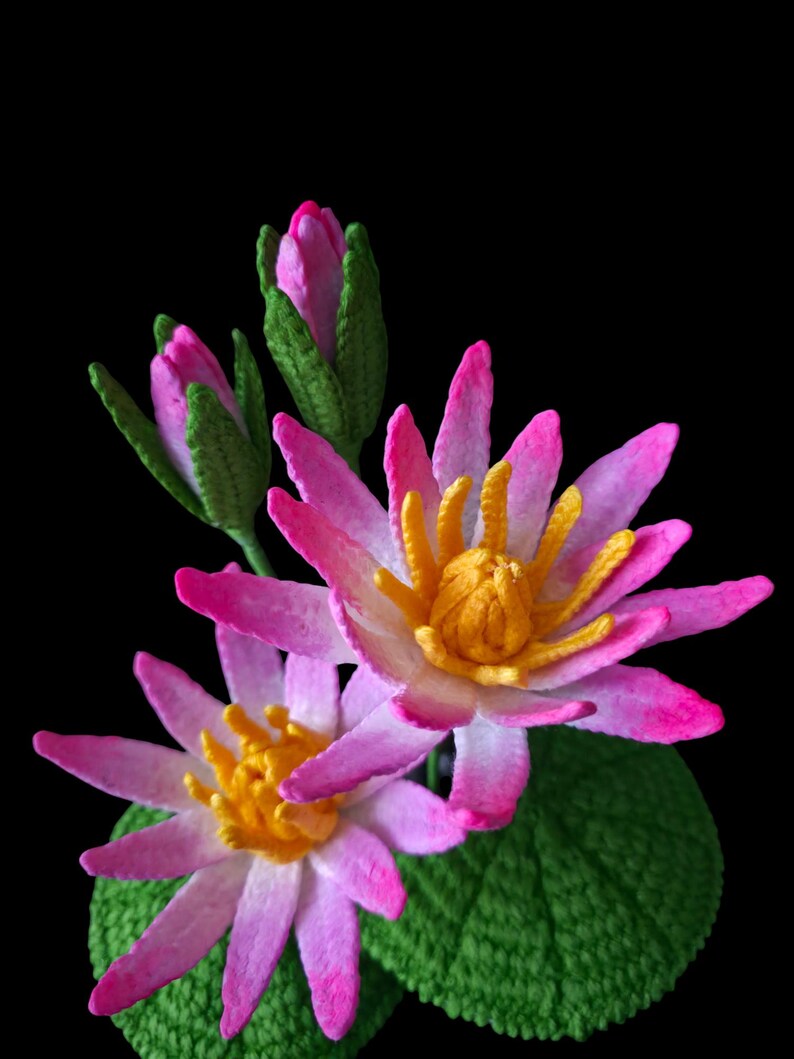 Easy Crochet Water Lily Flower Pattern (PDF) - Etsy