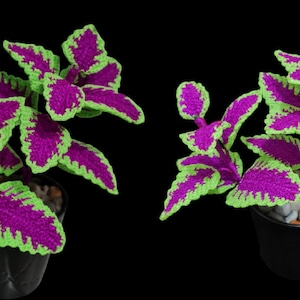 Easy Crochet Coleus Plant Pattern PDF | DIY Crochet Leaf Decor With ...