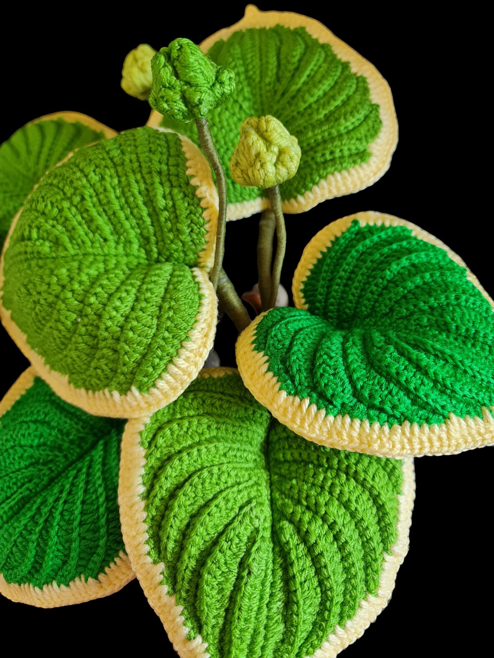 Easy Crochet Your Own Realistic Hosta Plant! Easy PDF Pattern With ...