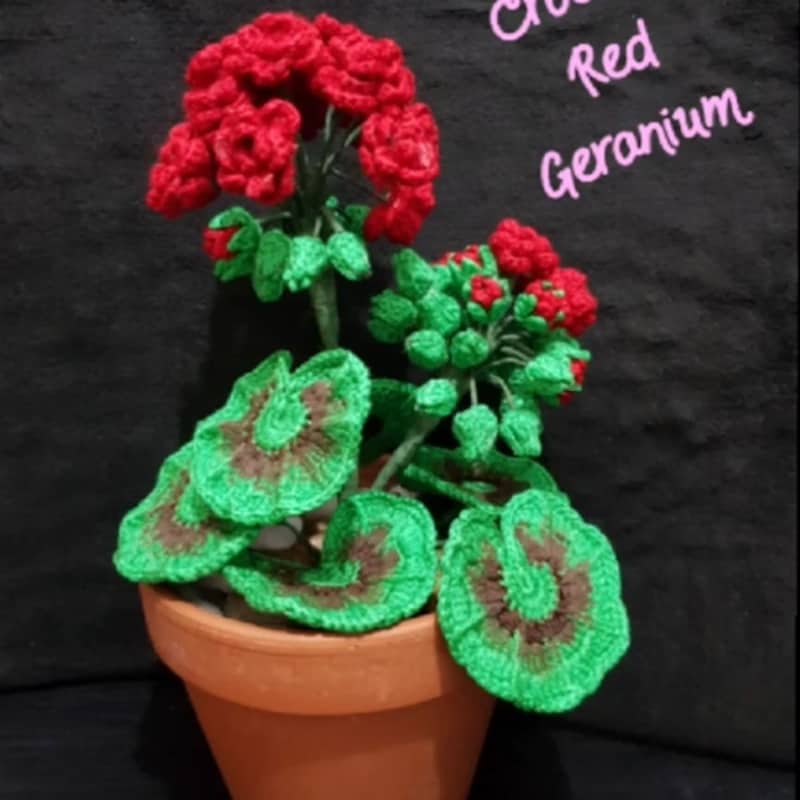 Geraniums - Etsy