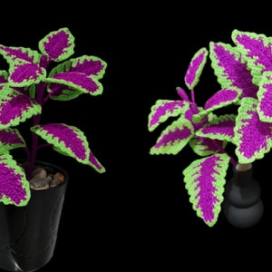 Easy Crochet Coleus Plant Pattern PDF | DIY Crochet Leaf Decor With ...