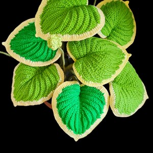 Easy Crochet Your Own Realistic Hosta Plant! Easy PDF Pattern With ...