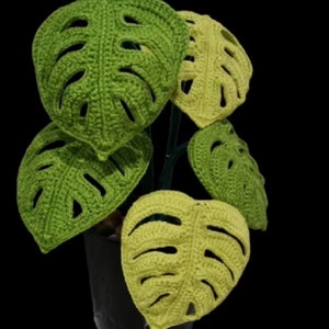 Easy Crochet Monstera Leaf Pattern | DIY Plant Decor (PDF Pattern) - Etsy
