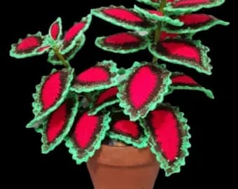 PATTERN Crochet Coleus Plant Cretona English & Español - Etsy