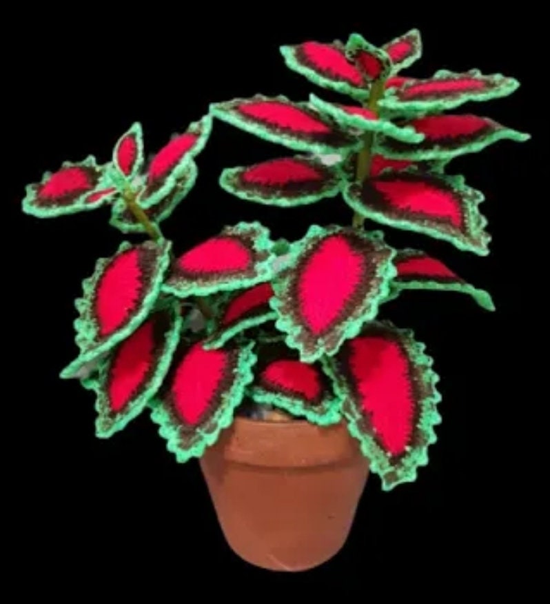 Easy Crochet Coleus Plant Pattern PDF | DIY Crochet Leaf Decor With ...