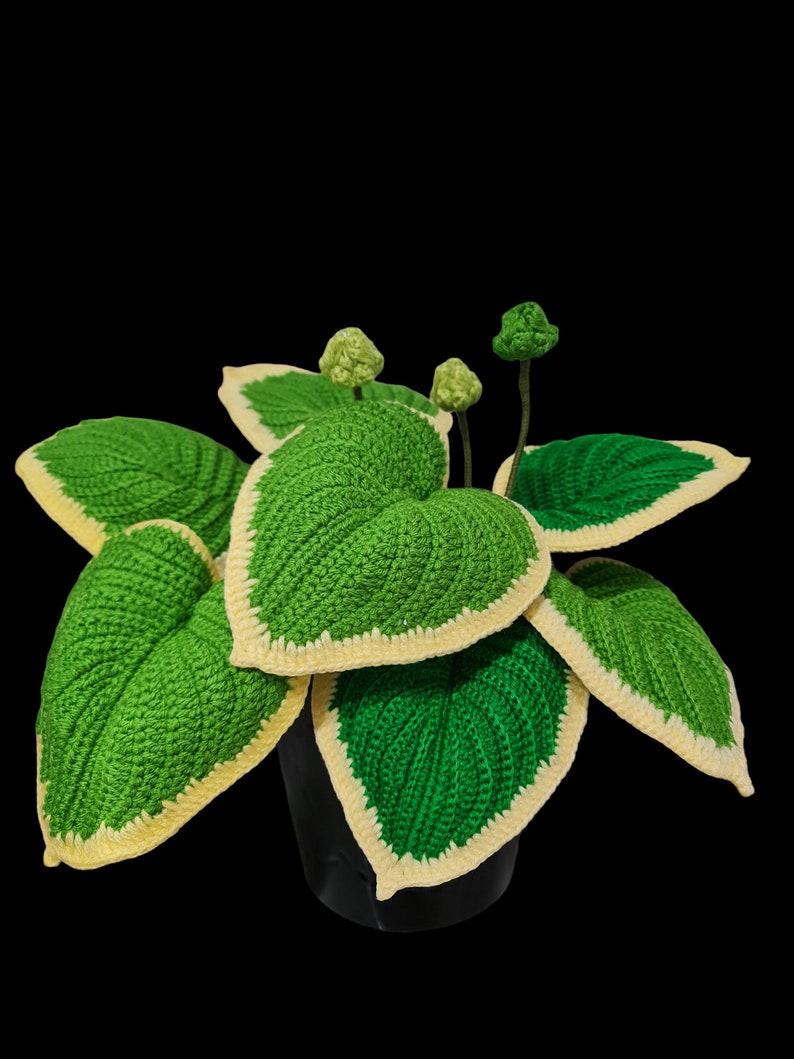 Easy Crochet Your Own Realistic Hosta Plant! Easy PDF Pattern With ...