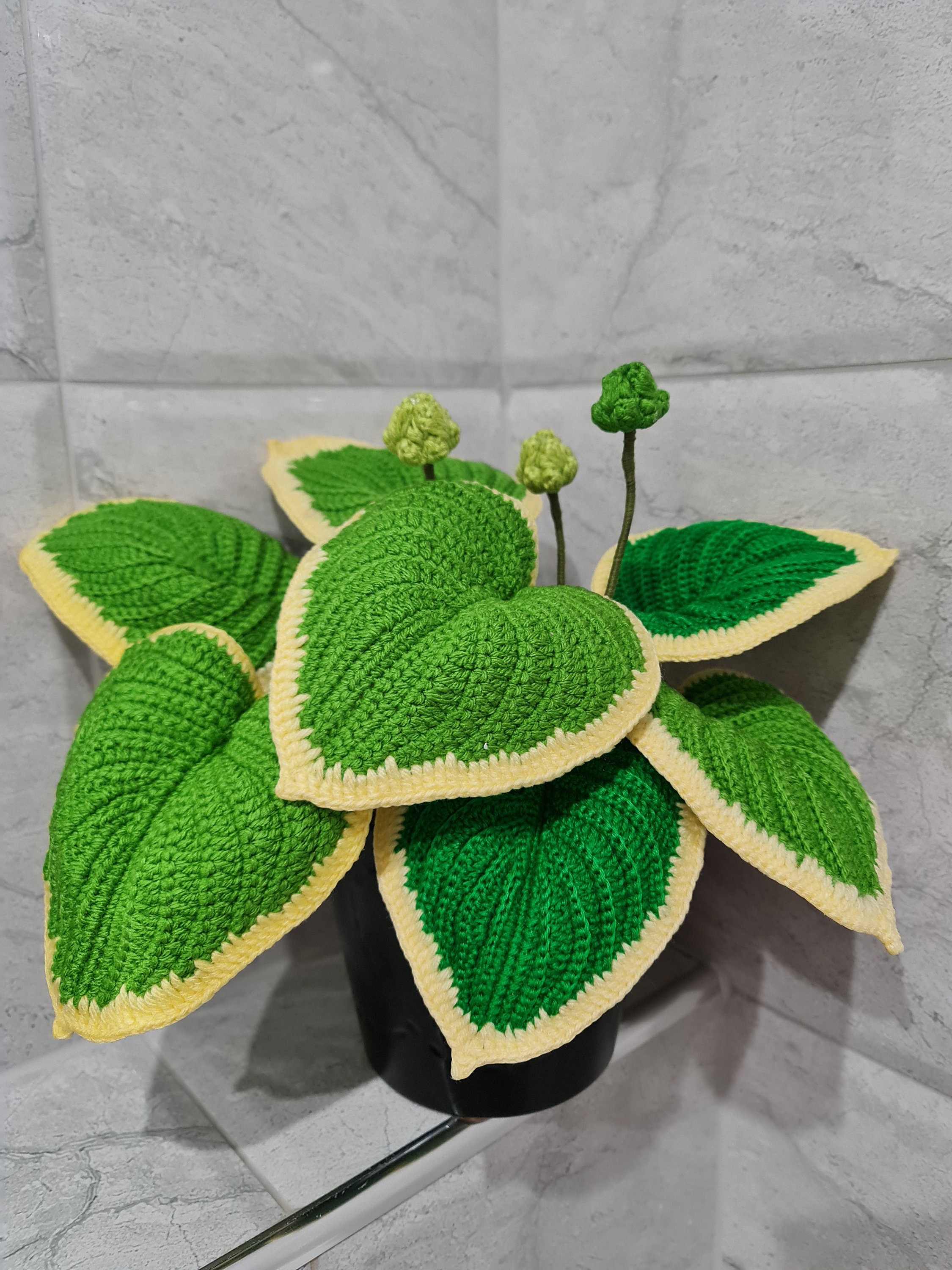 Easy Crochet Your Own Realistic Hosta Plant! Easy PDF Pattern With ...
