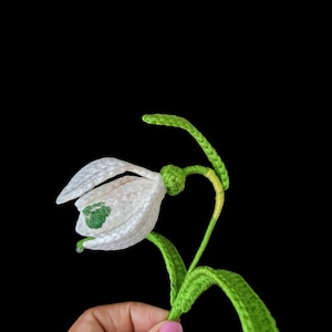 Easy Crochet Snowdrop Flower Pattern PDF | DIY Crochet Floral Decor ...