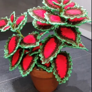 Easy Crochet Coleus Plant Pattern | DIY Leaf Decor (PDF Pattern) - Etsy