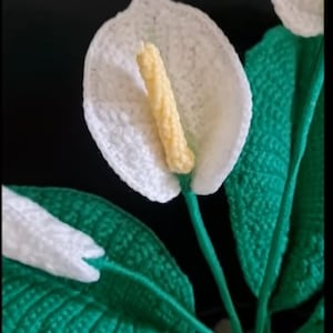 Easy Crochet Peace Lily Flower Pattern PDF | DIY Crochet Floral Decor ...