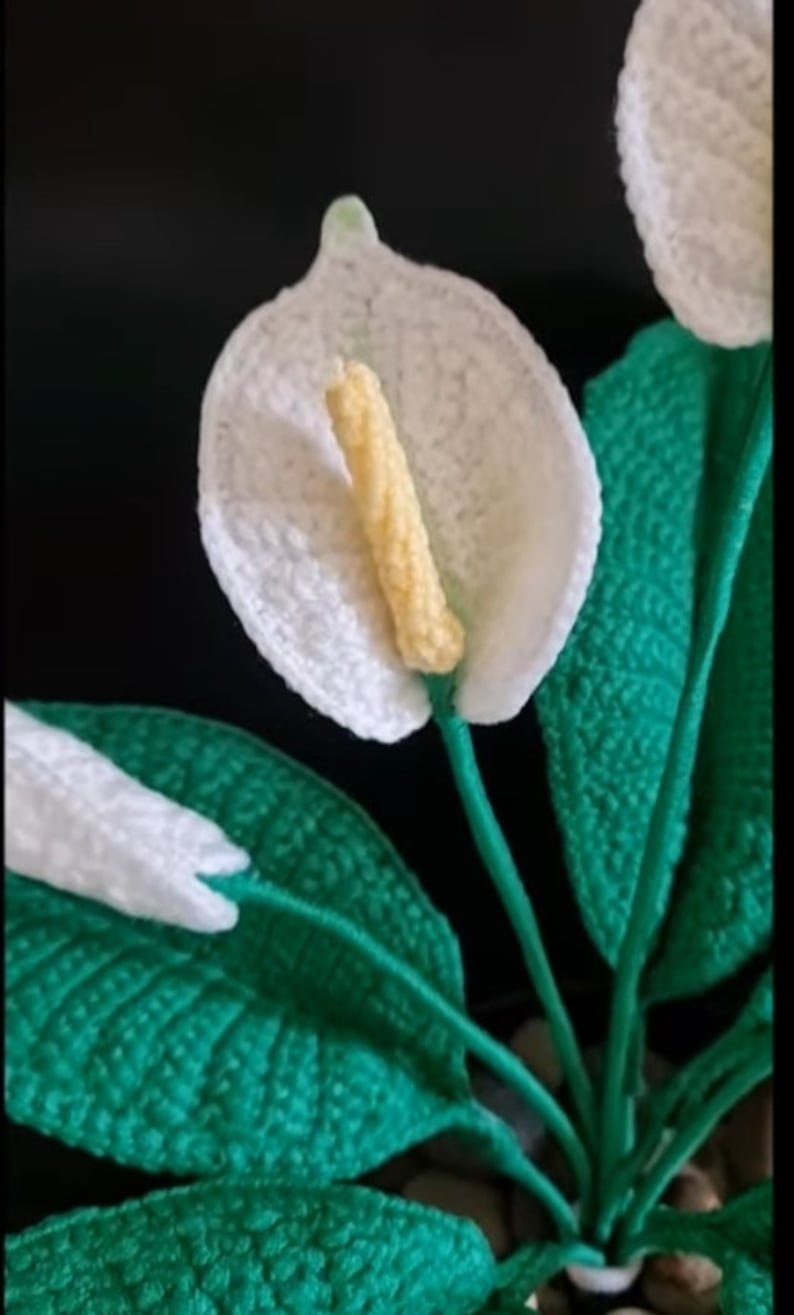 Easy Crochet Peace Lily Flower Pattern PDF | DIY Crochet Floral Decor ...