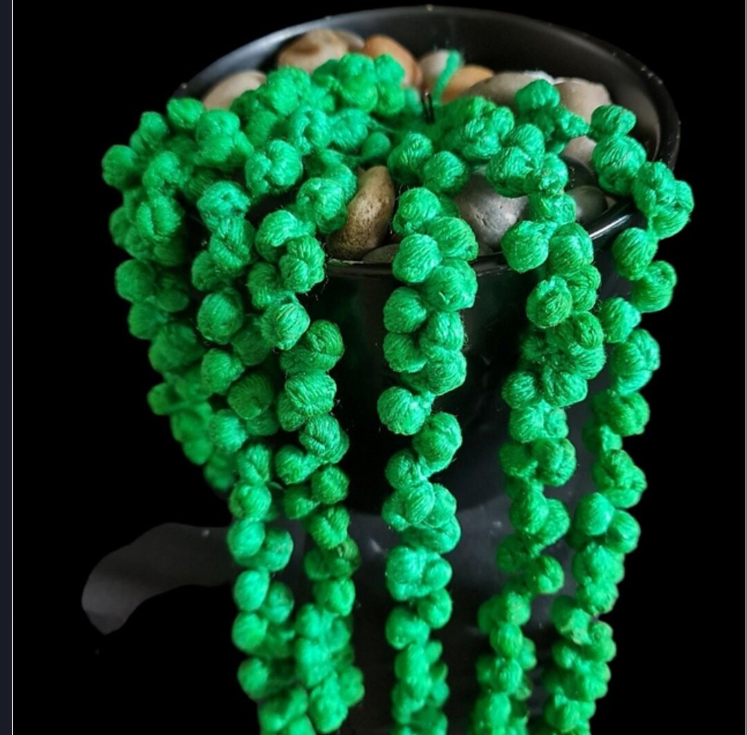 Easy Crochet String of Pearls Succulent Pattern PDF | DIY Crochet ...