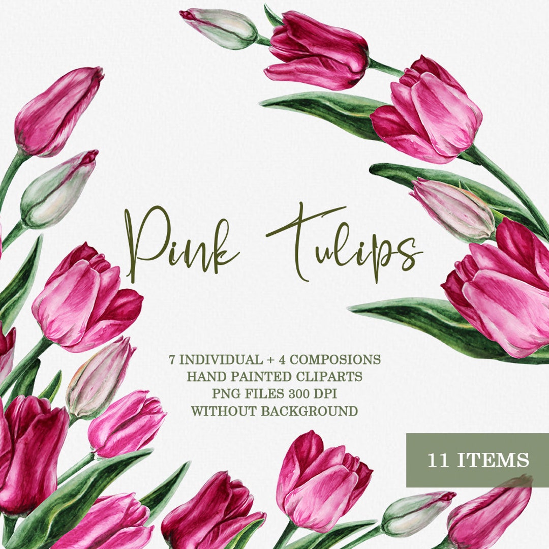 Watercolor Pink Tulips Clipart. Tulips Hand Painted Clipart - Etsy