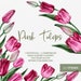 Watercolor Pink Tulips Clipart. Tulips Hand Painted Clipart Tulip ...