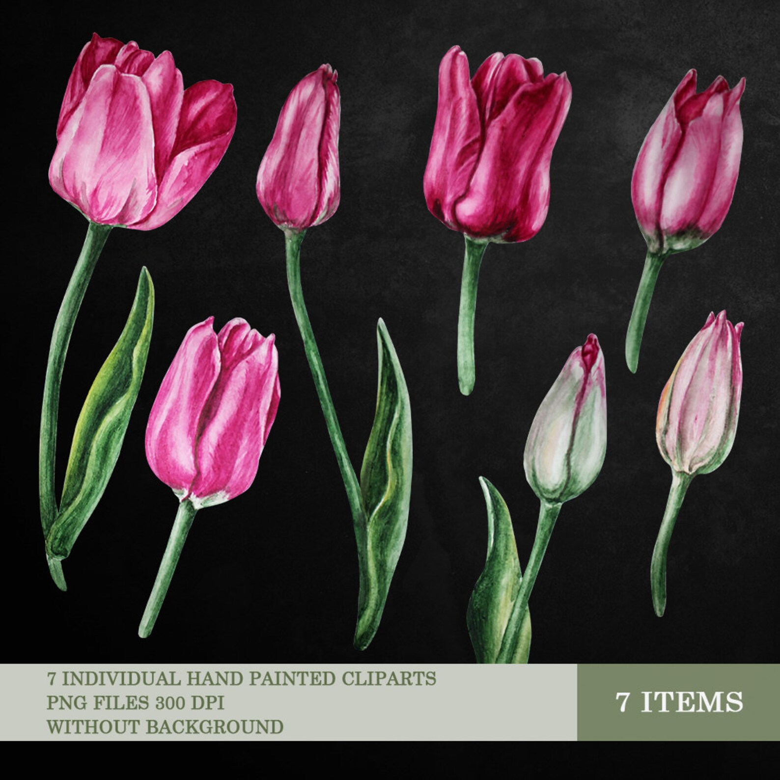 Watercolor Pink Tulips Clipart. Tulips Hand Painted Clipart Tulip ...