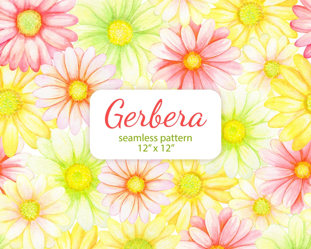Gerbera Daisy Digital Paper. Seamless Pattern. Watercolor Clipart ...