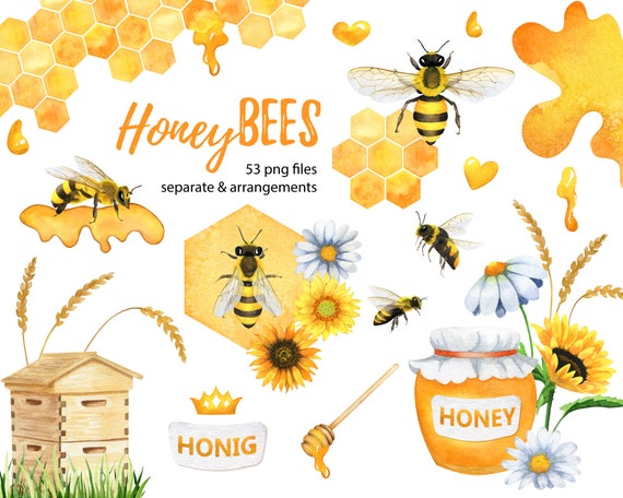 Honey Bee Watercolor Clipart Honeybee Png Honeycomb - Etsy