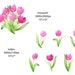 Pink Tulips Watercolor Clipart. Bouquet of Tulips. Flowers Watercolor ...