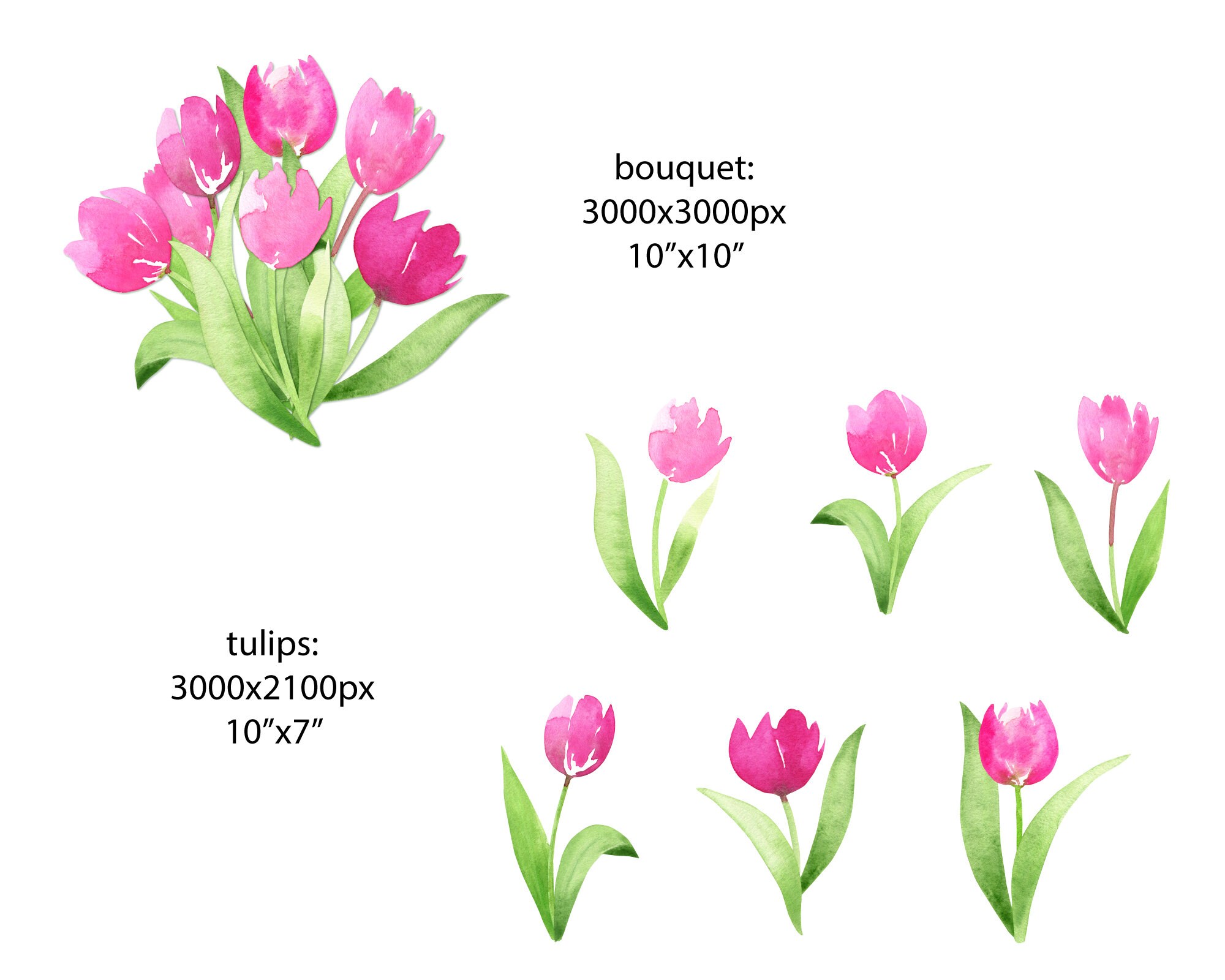 Pink Tulips Watercolor Clipart. Bouquet of Tulips. Flowers Watercolor ...