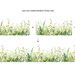 Meadow Seamless Borders, Wildflowers and Grass Clipart, Field Endless ...