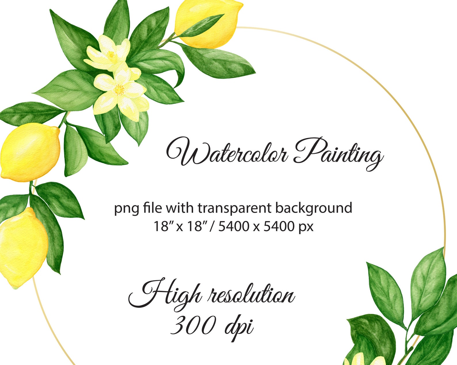 Lemon Wreath. Lemon Frame PNG. Lemons Watercolor Clipart. - Etsy