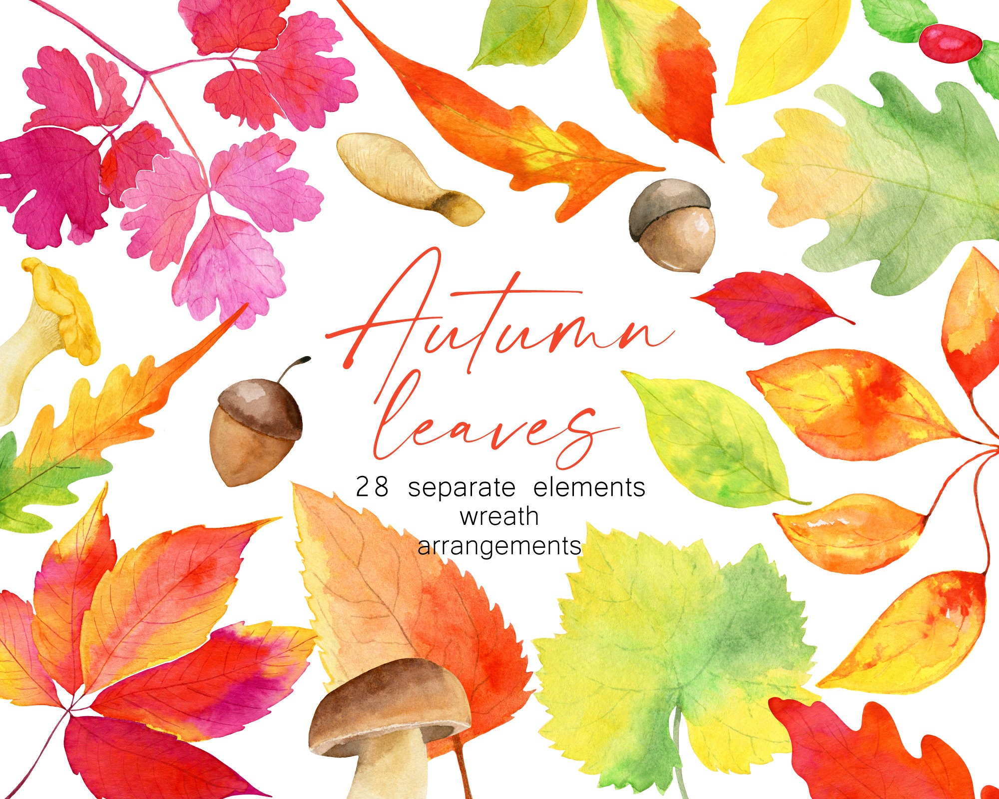 Autumn Leaves Watercolor Clipart Fall Leaves Wreaths | Etsy