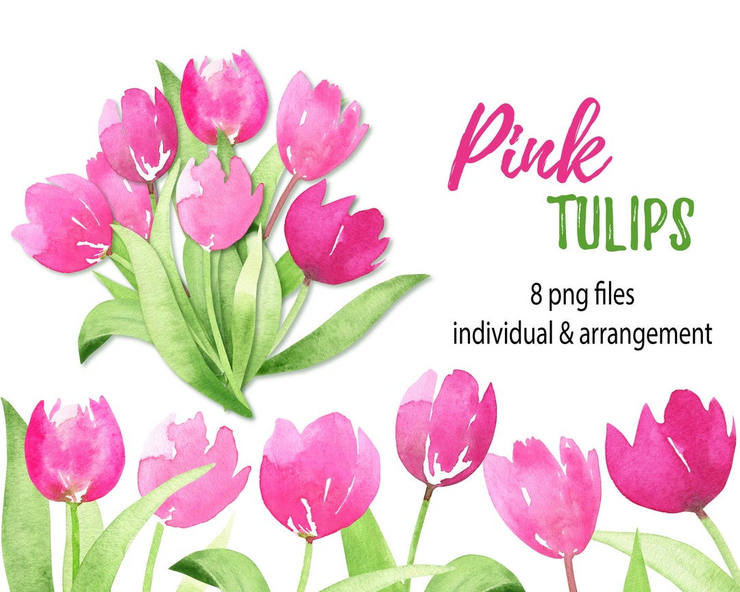 Pink Tulips Watercolor Clipart. Bouquet of Tulips. Flowers Watercolor ...